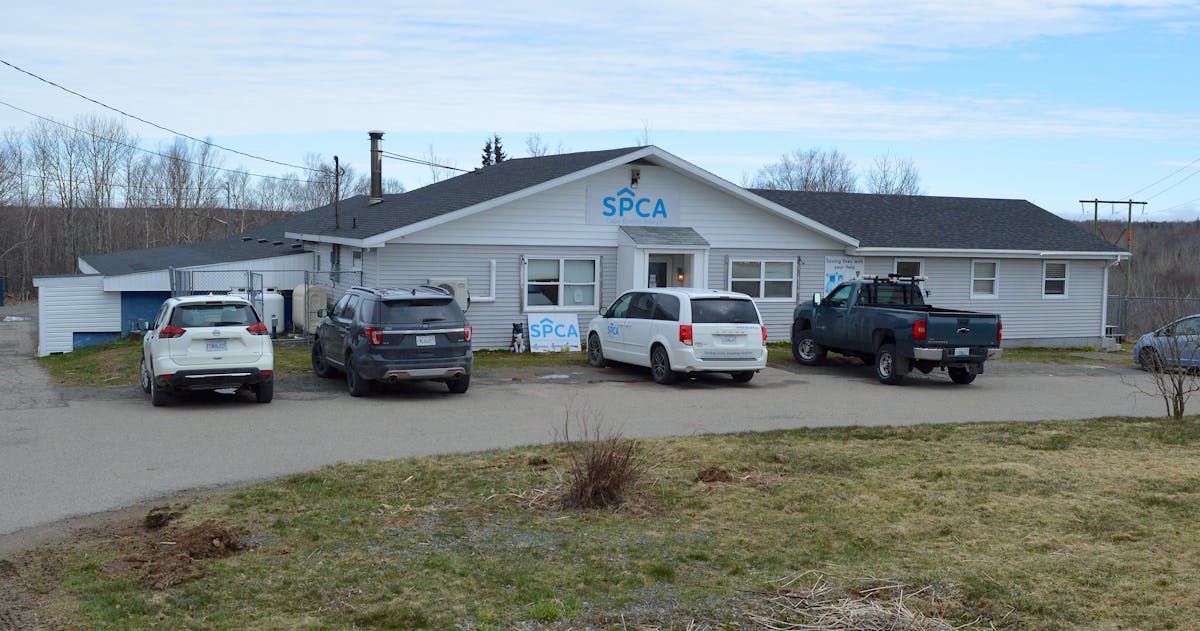 ‘We need a new building for the animals of Cape Breton’: SPCA | PNI ...