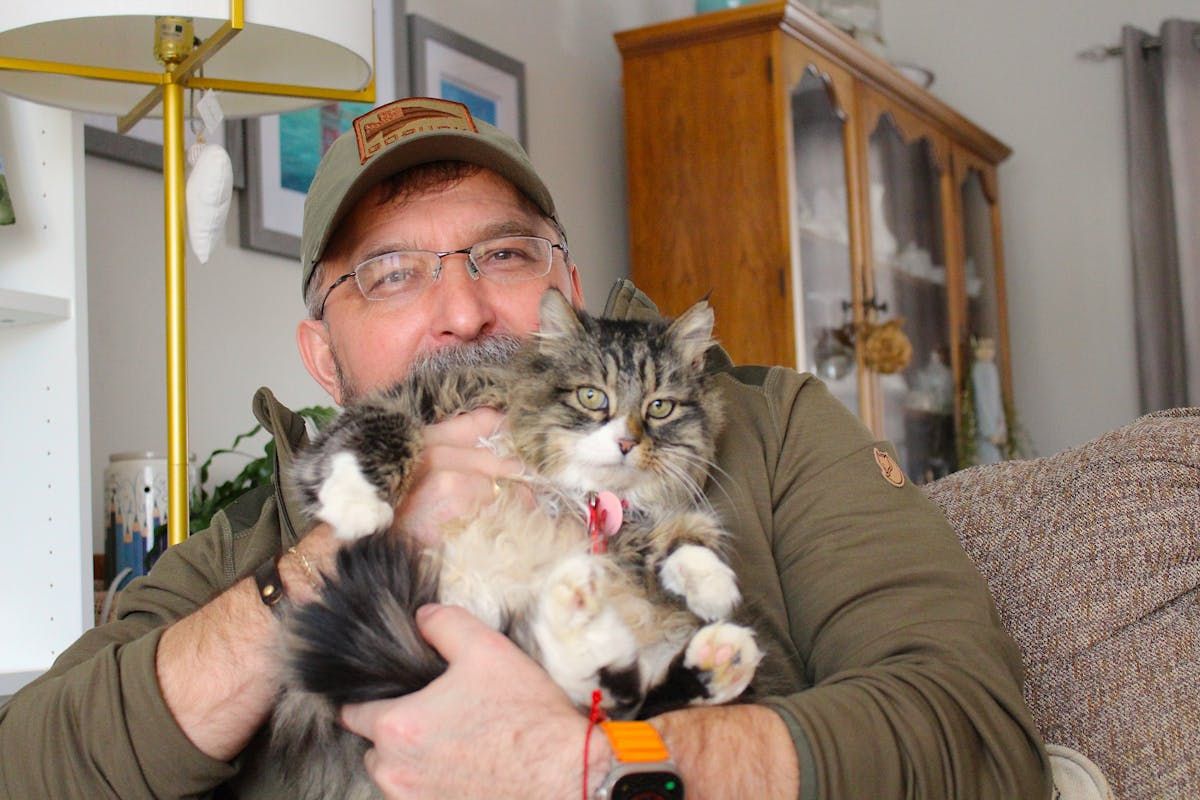 ‘We tried everything to find her': Heidi, a cat with a heartbreaking ...