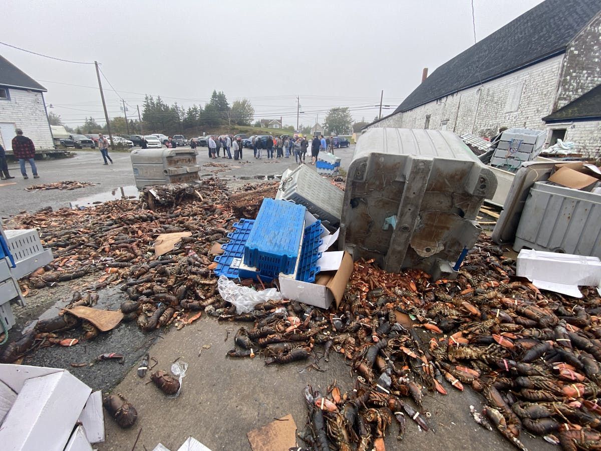 BRIAN HODDER: Federal government must step in to stop Nova Scotia ...