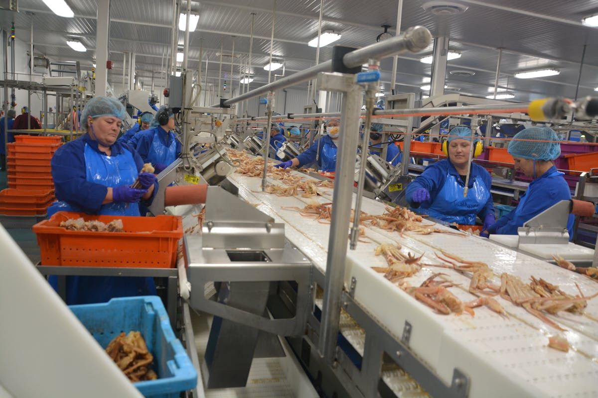 ‘What is right and what is true’: Tour of Quinlan Brothers’ Bay de Verde facility gives inside ...