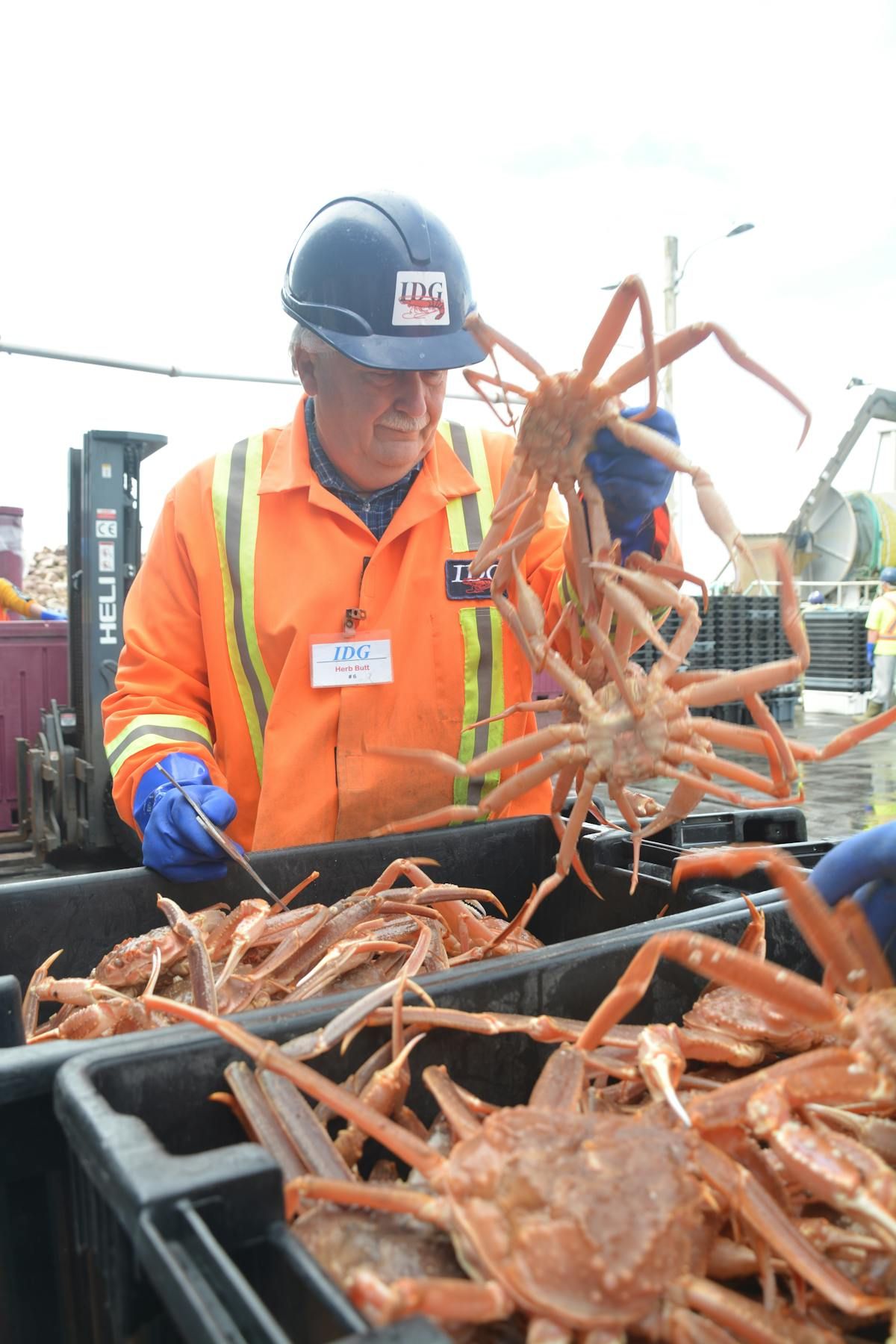 ‘What is right and what is true’: Tour of Quinlan Brothers’ Bay de ...
