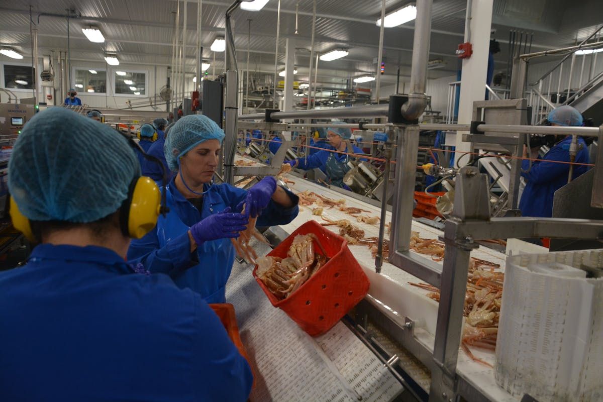 ‘What is right and what is true’: Tour of Quinlan Brothers’ Bay de ...