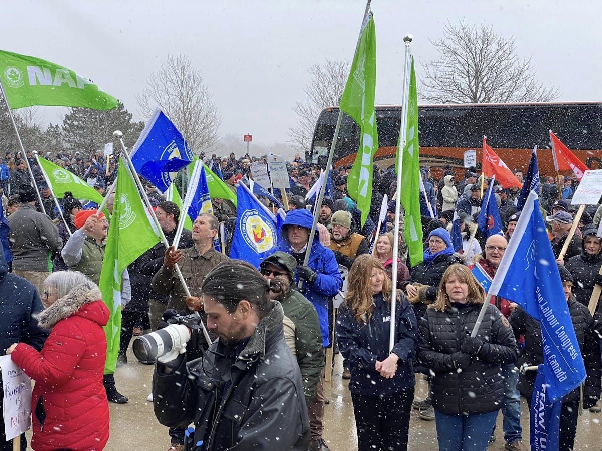 While FFAW demonstrates one harvester says patience and a fall crab ...