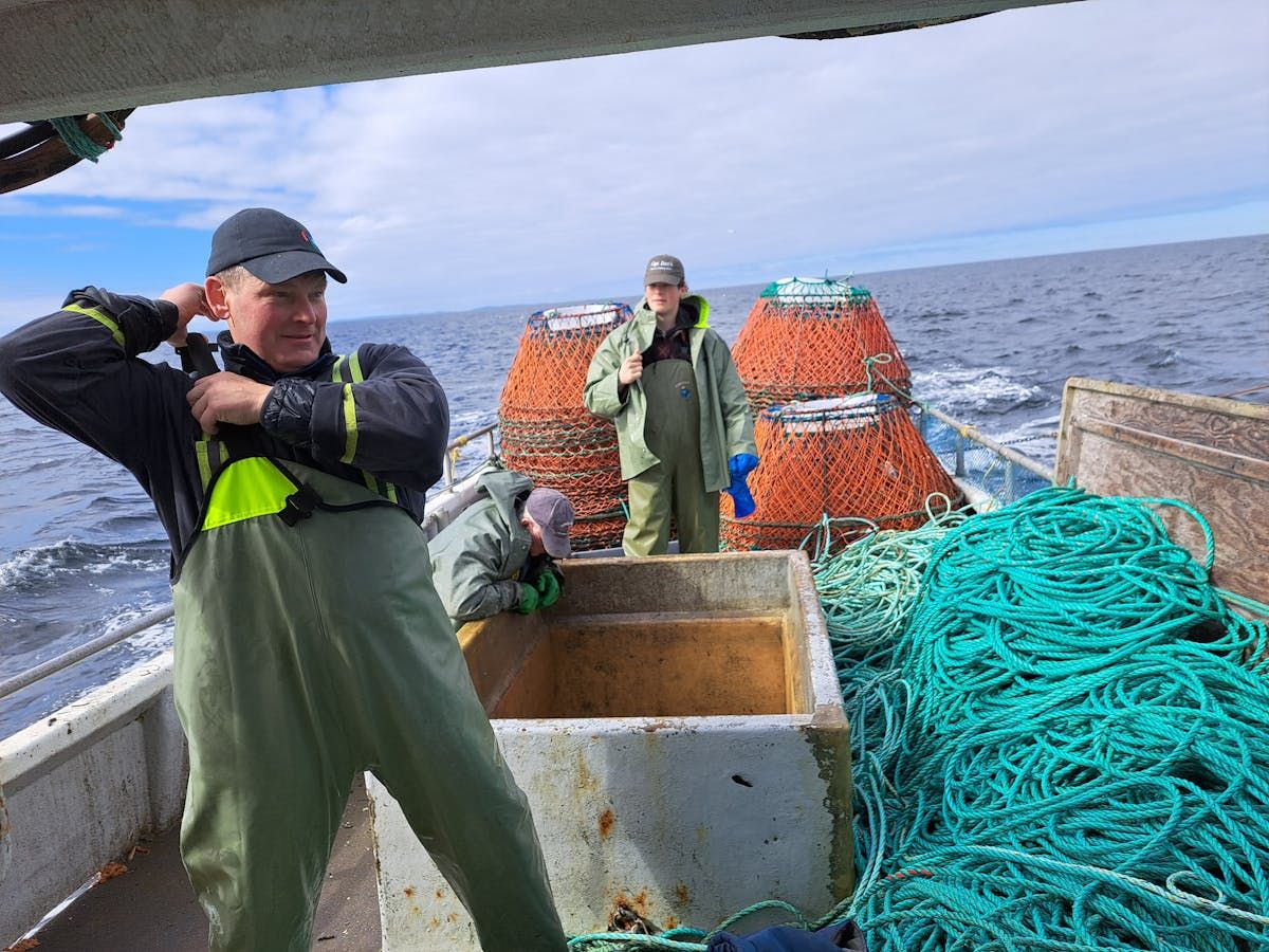 Why succession in Newfoundland and Labrador’s fishing industry not as ...