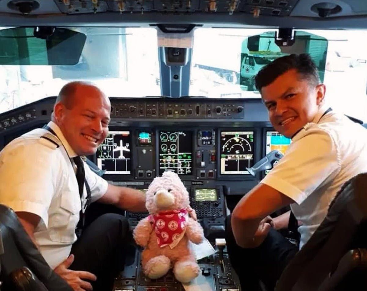 Wild adventure: After a stuffed toy was left at Halifax airport ...