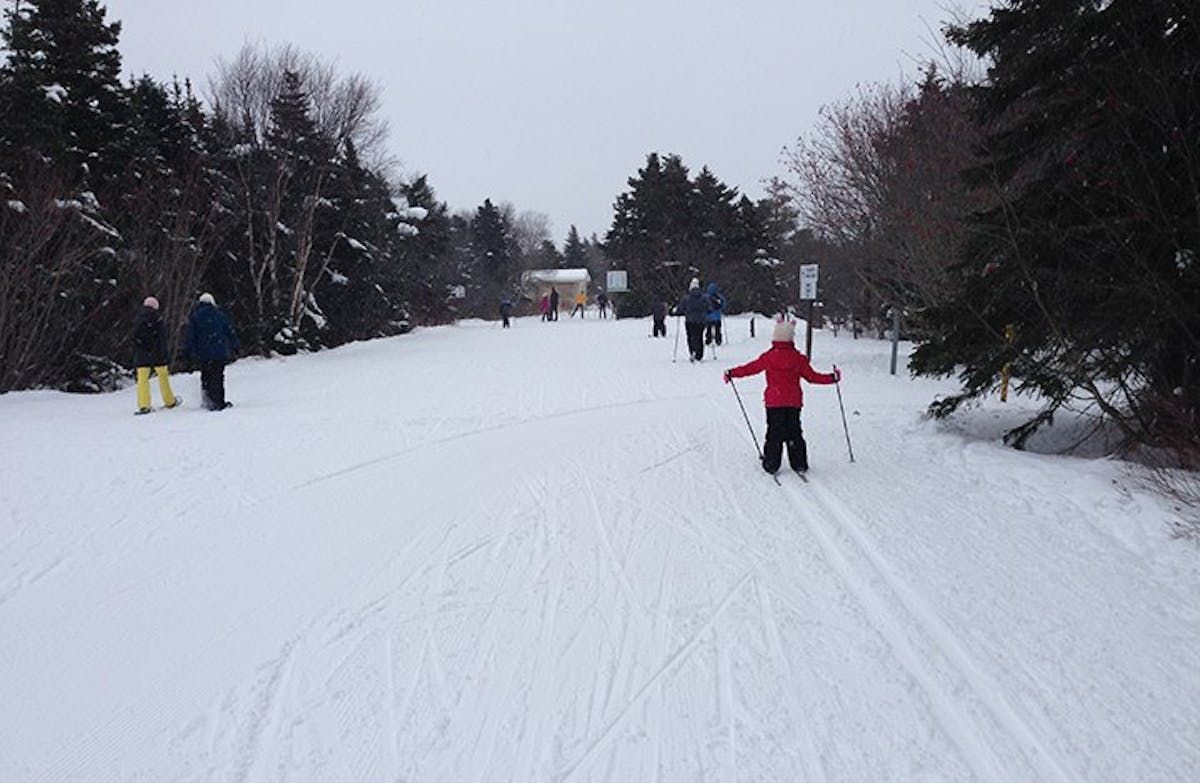 Winter Activity Centre in Pippy Park opens for season | PNI Atlantic News