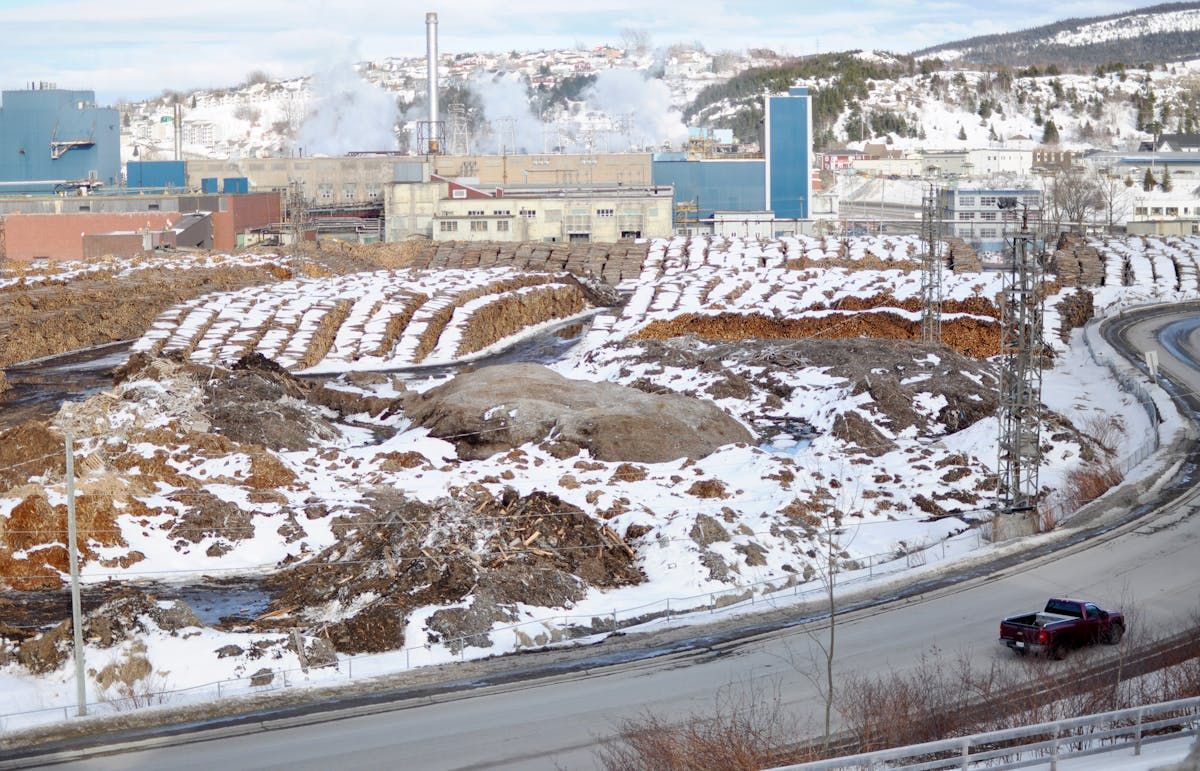 Corner Brook Pulp and Paper shutting down mill for important repairs ...