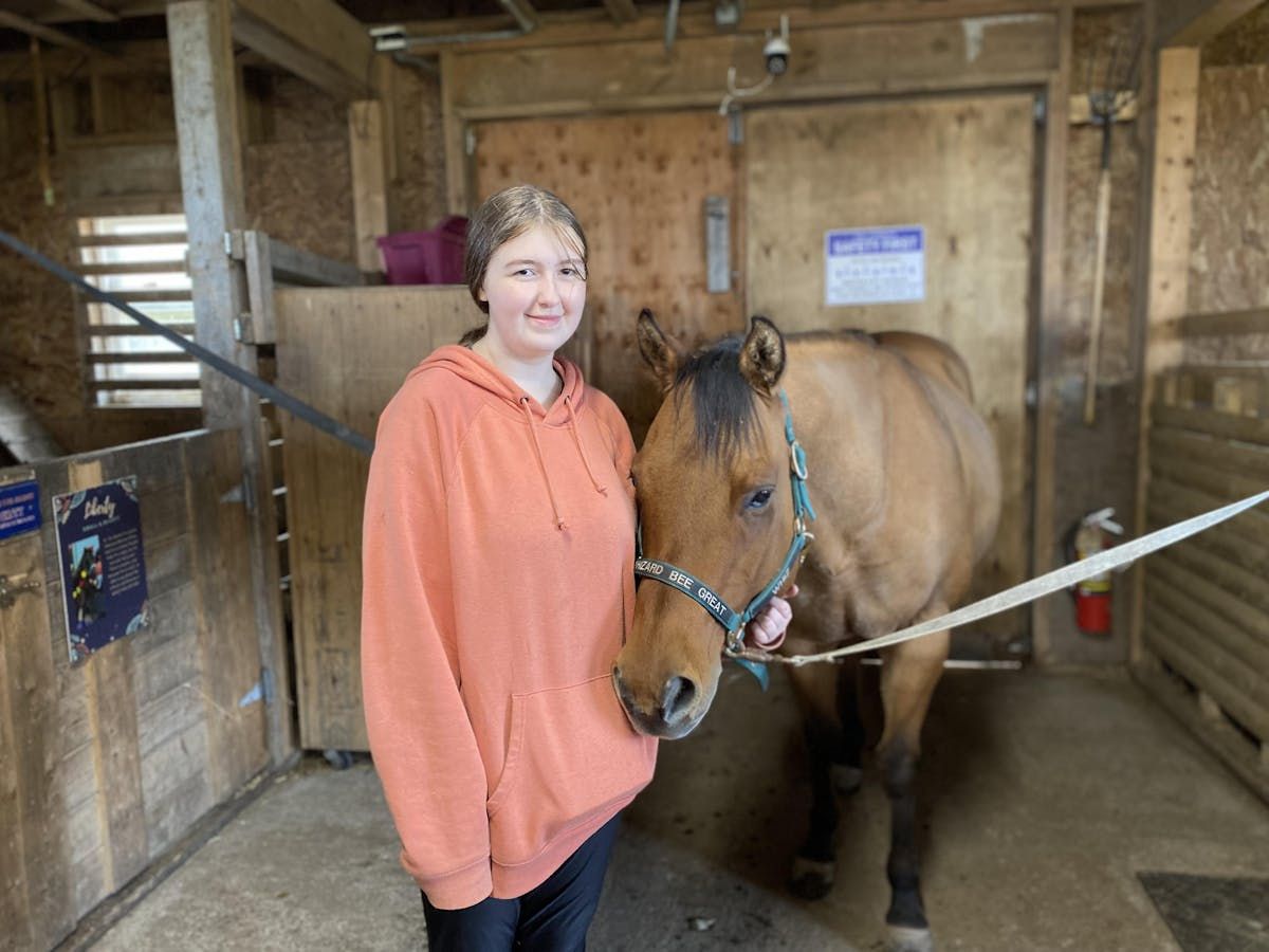 'You can't recreate what we do here in an office': Stable Life in ...