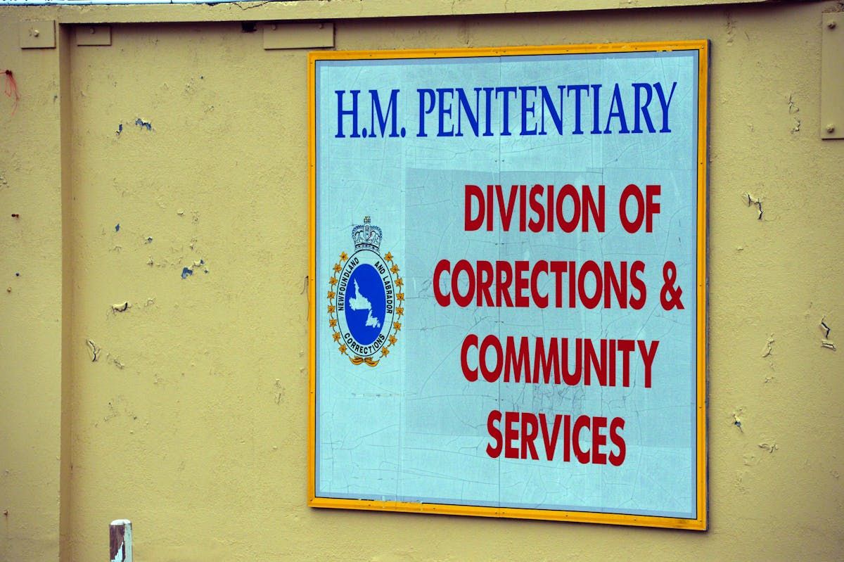 ‘You’re up all night chasing mice’: From fighting rodents to lack of ...