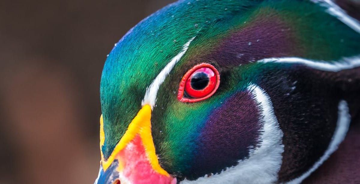 Tri-County Vanguard reporter Carla Allen's Top 10 from 2019 | PNI ...