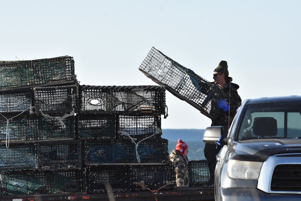 DFO budgets $259.5M for new fishery access for First Nations in ...