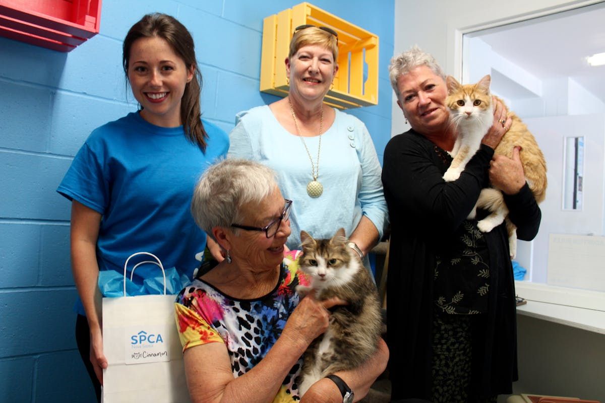 Operation Cat SNIP donates remaining assets to SPCA | PNI Atlantic News