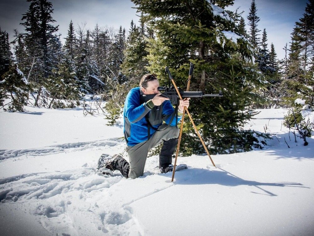 PAUL SMITH: 'I had no intention of owning a prohibited weapon' | PNI ...