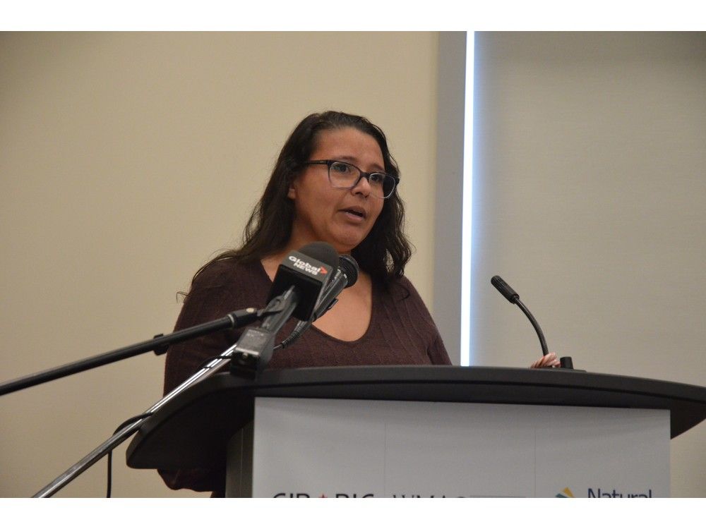 Mi’kmaq-owned wind farm gets $45.8 million CIB loan financing | PNI ...