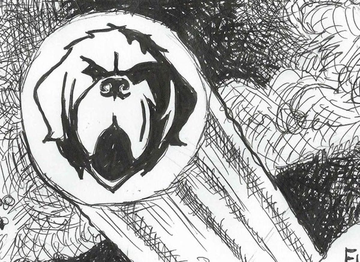 KEVIN TOBIN CARTOON: The hero Newfoundland hockey fans deserve | PNI ...