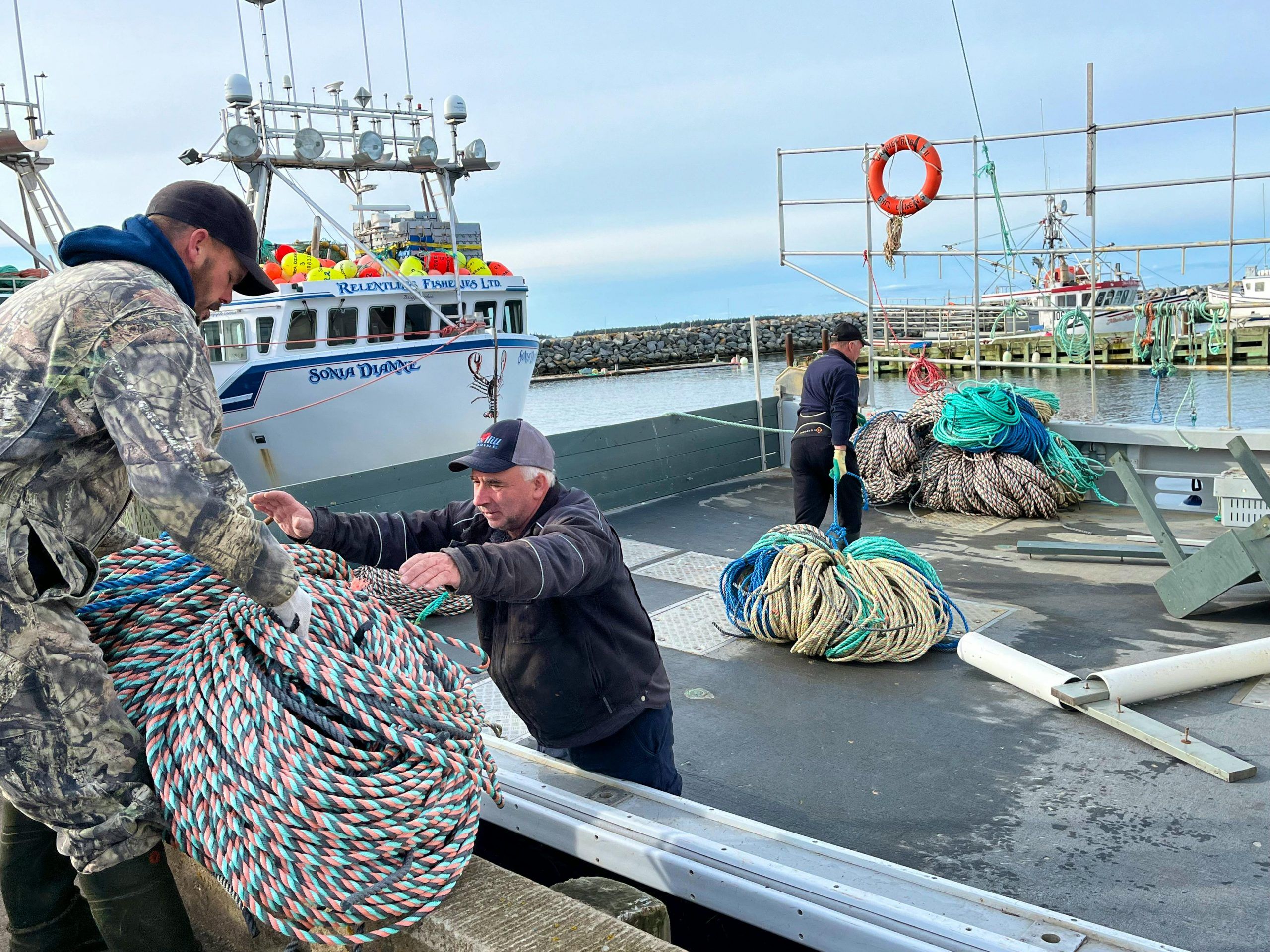 Commercial lobster fishers gearing up for late November season start in ...