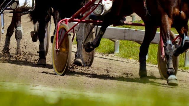 P.E.I. harness racing at Charlottetown Driving Park June 14, 2025 | PNI ...