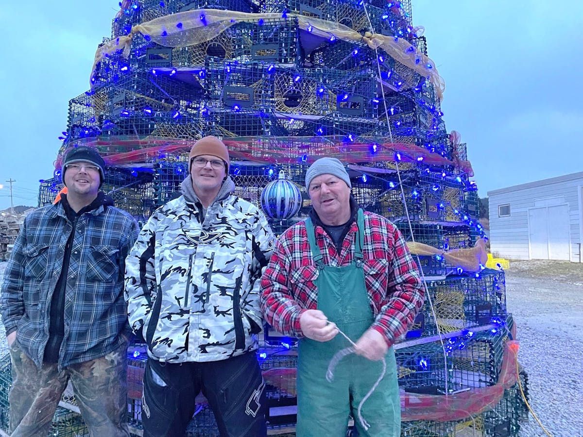 Lobster pot tree of memories lights up the season in Cox’s Cove | PNI ...