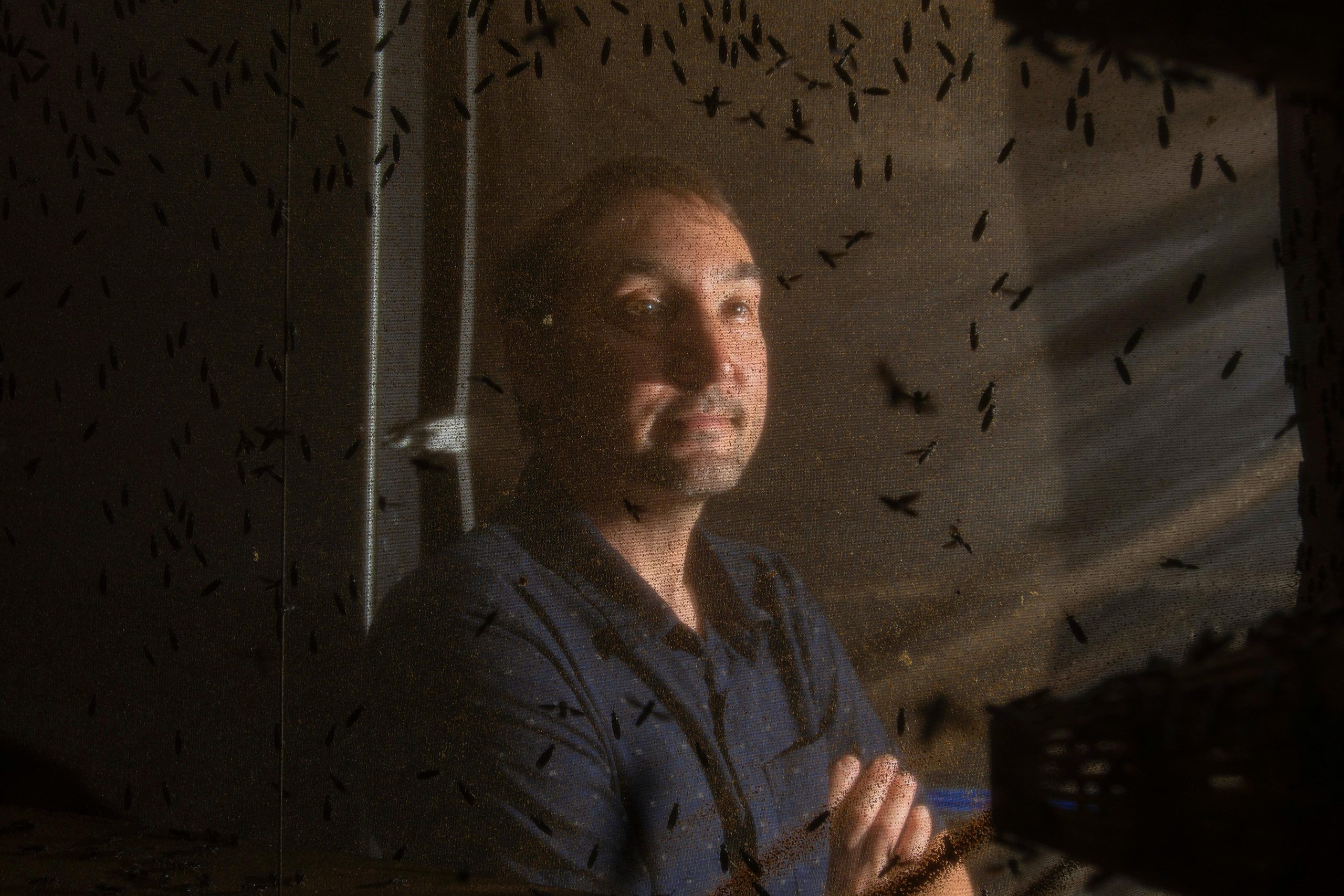 Halifax company Oberland Agriscience gets tons of bugs out | PNI ...