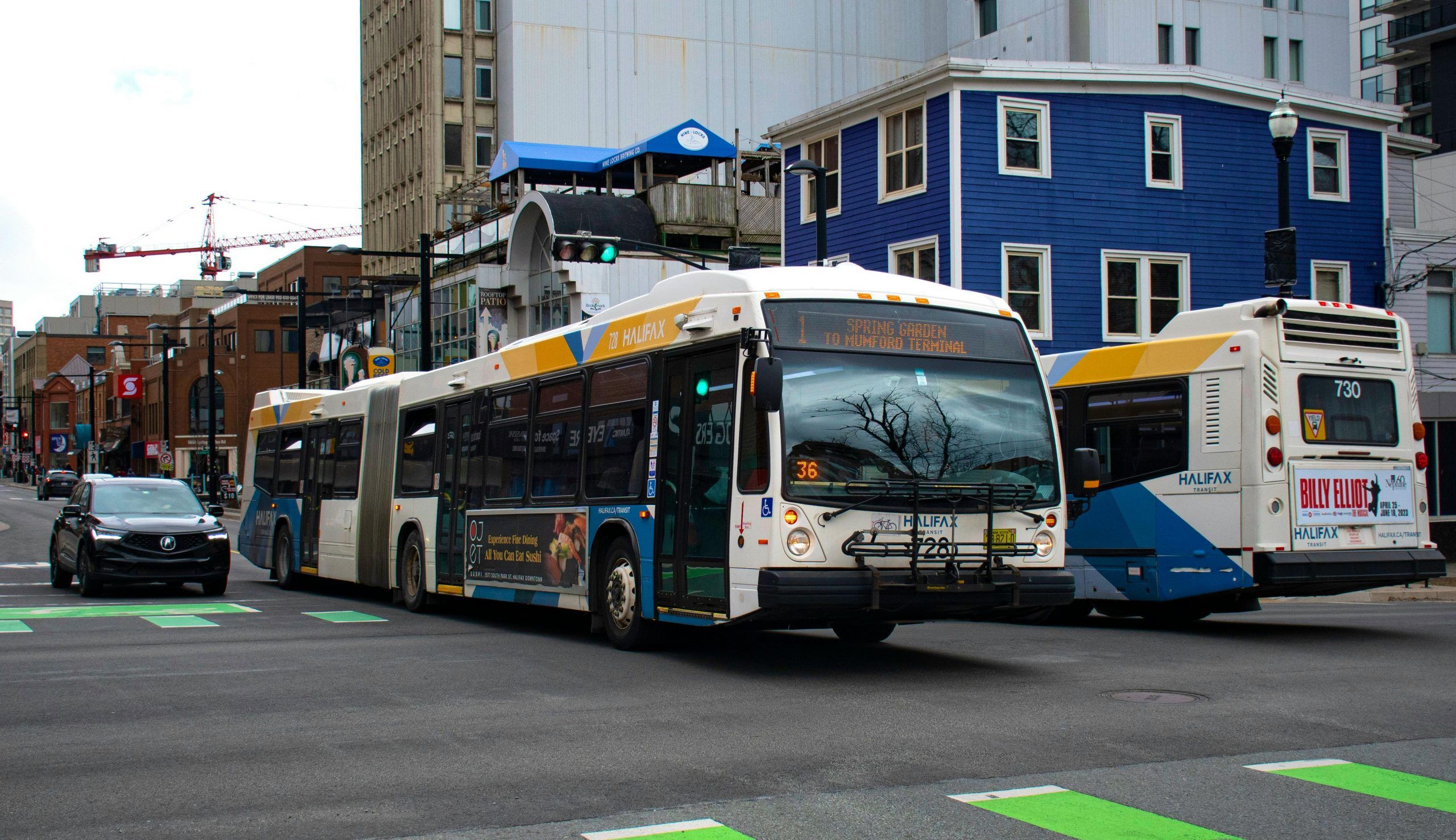 HRM councillor calls for report on collisions between Halifax Transit ...