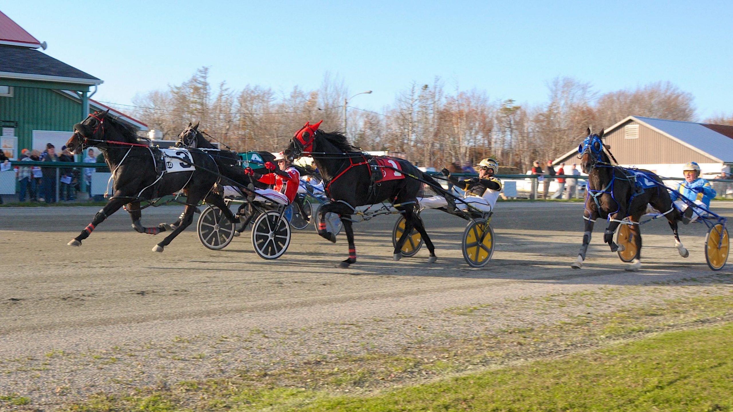 HARNESS RACING: Hugh Heff claims Governors Cup championship at Cape ...