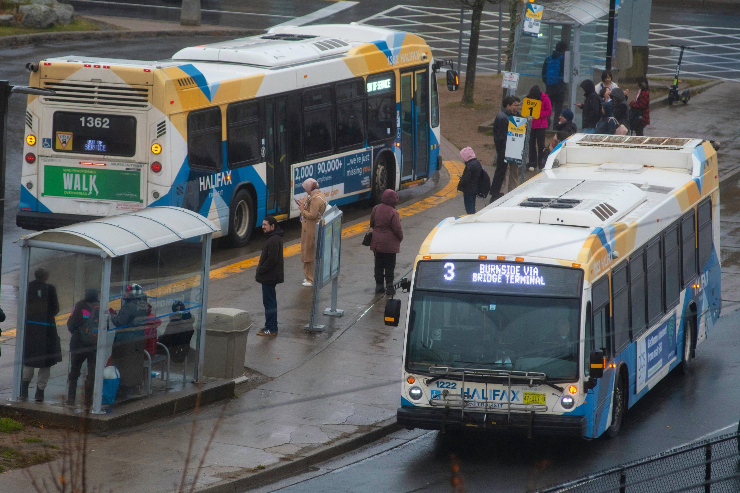 Halifax Transit union says expiring work permits of its drivers could ...