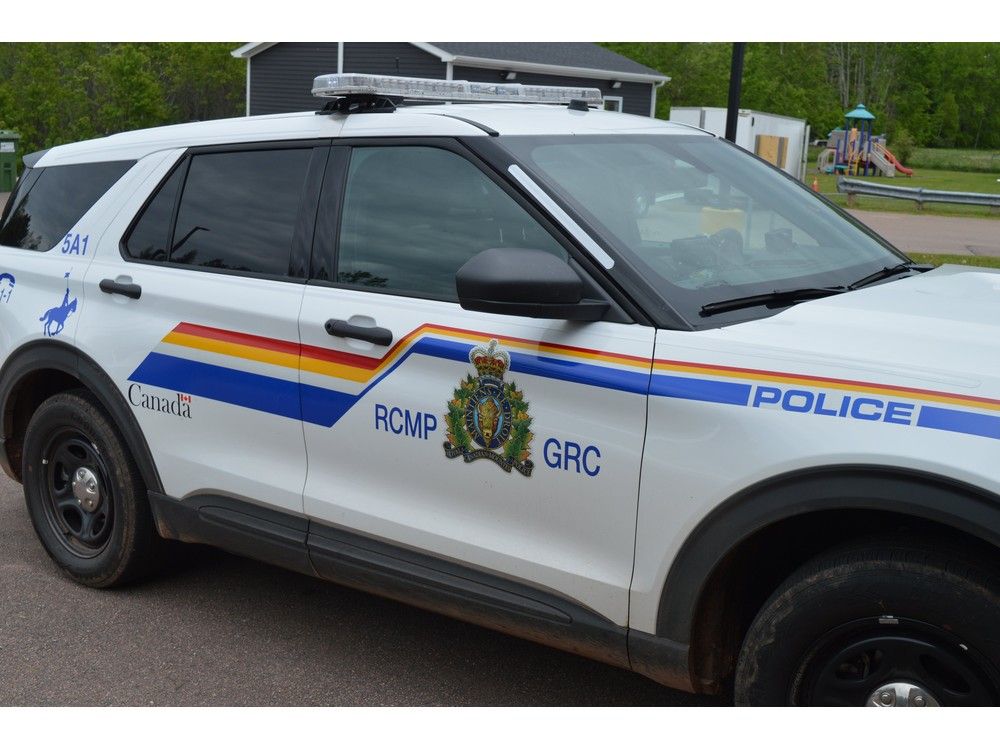 Man in P.E.I. charged with hate crimes and firearms offences | PNI ...