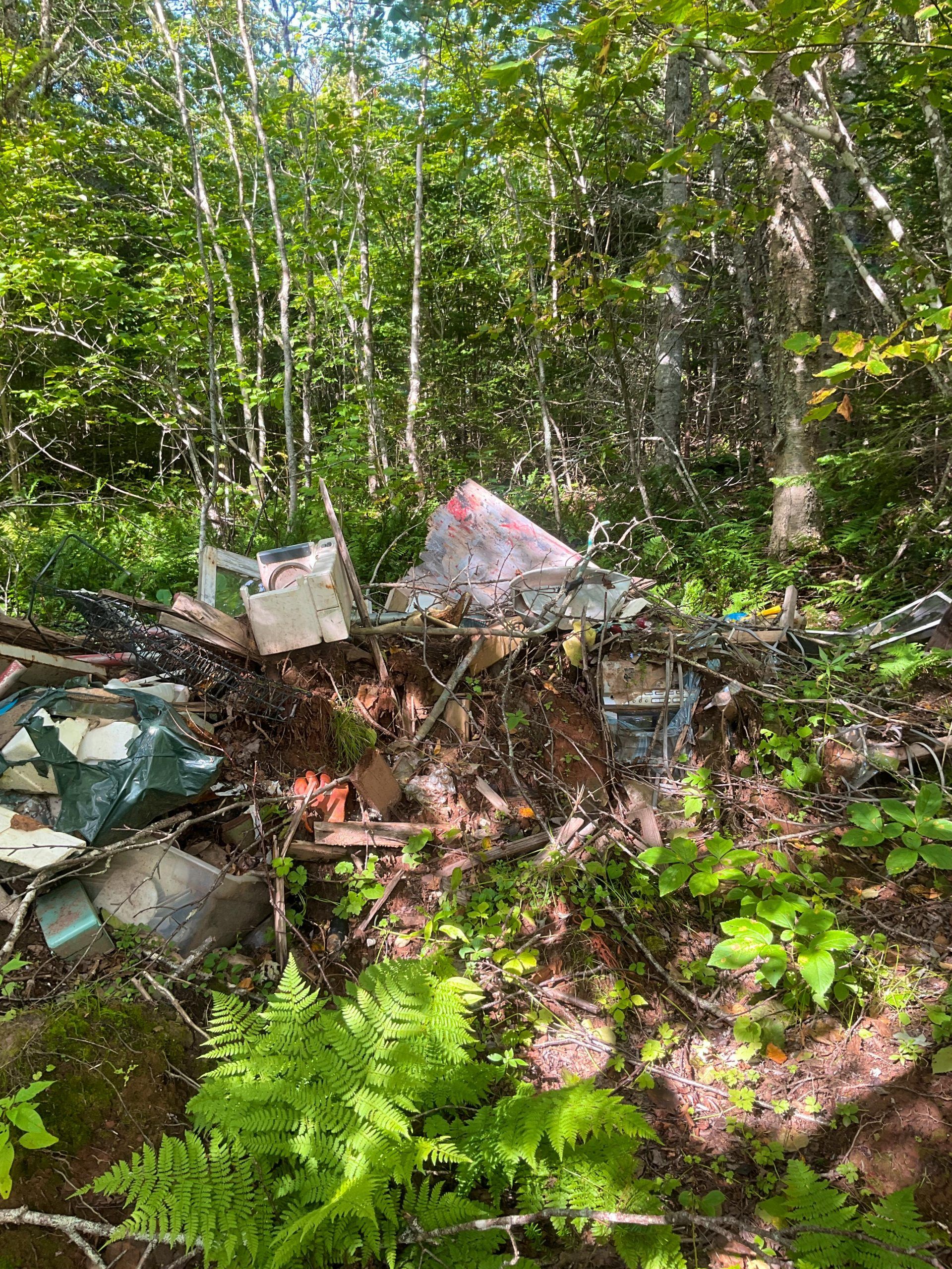CHEERS AND JEERS: Jeers to people who discard waste in P.E.I. nature ...