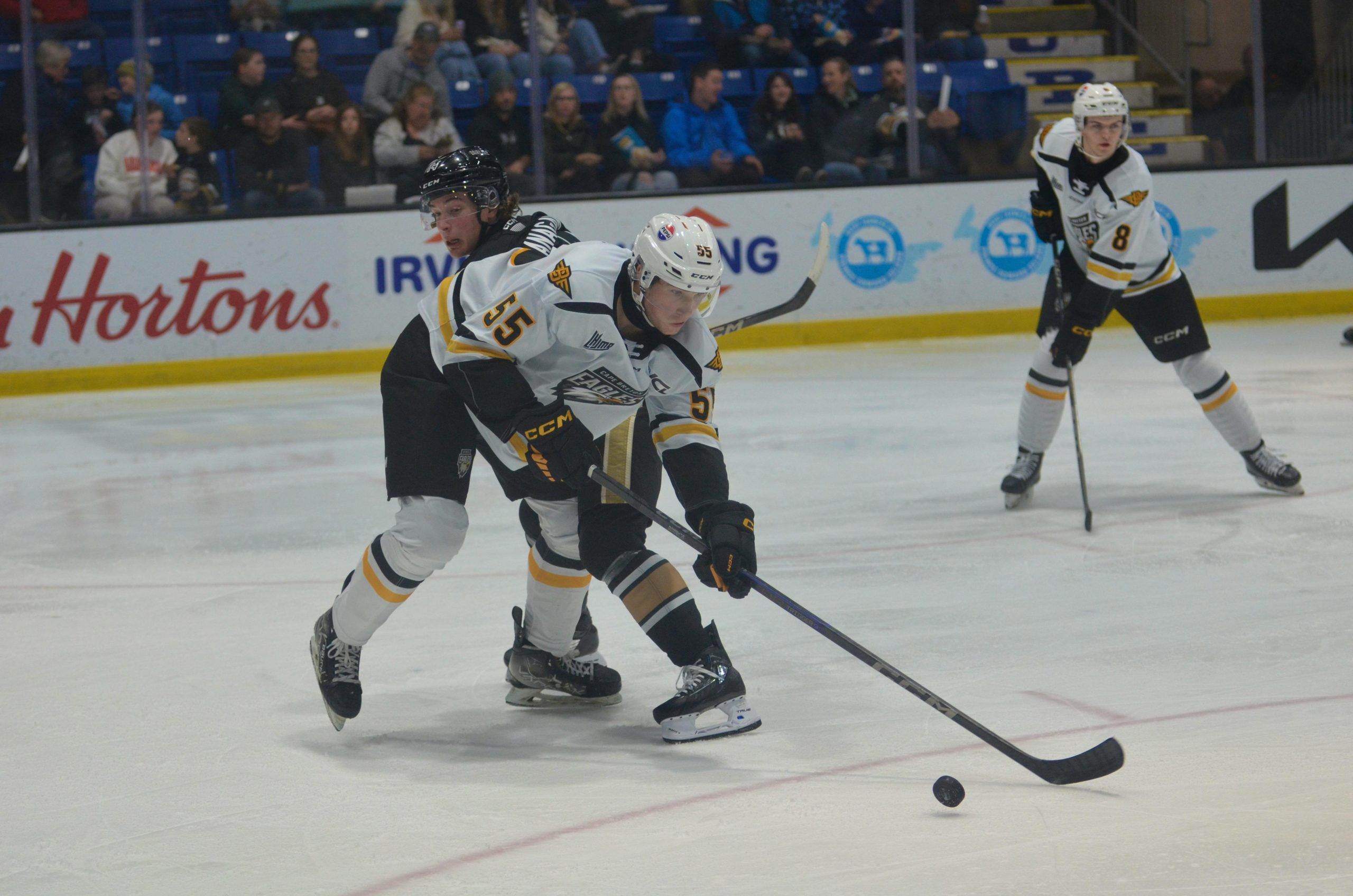 QMJHL: P.E.I.'s Will Murphy transitioning well to major junior with ...