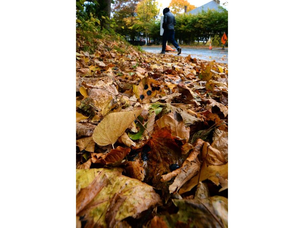 Not so cold, but how wet will Newfoundland and Labrador's winter be ...