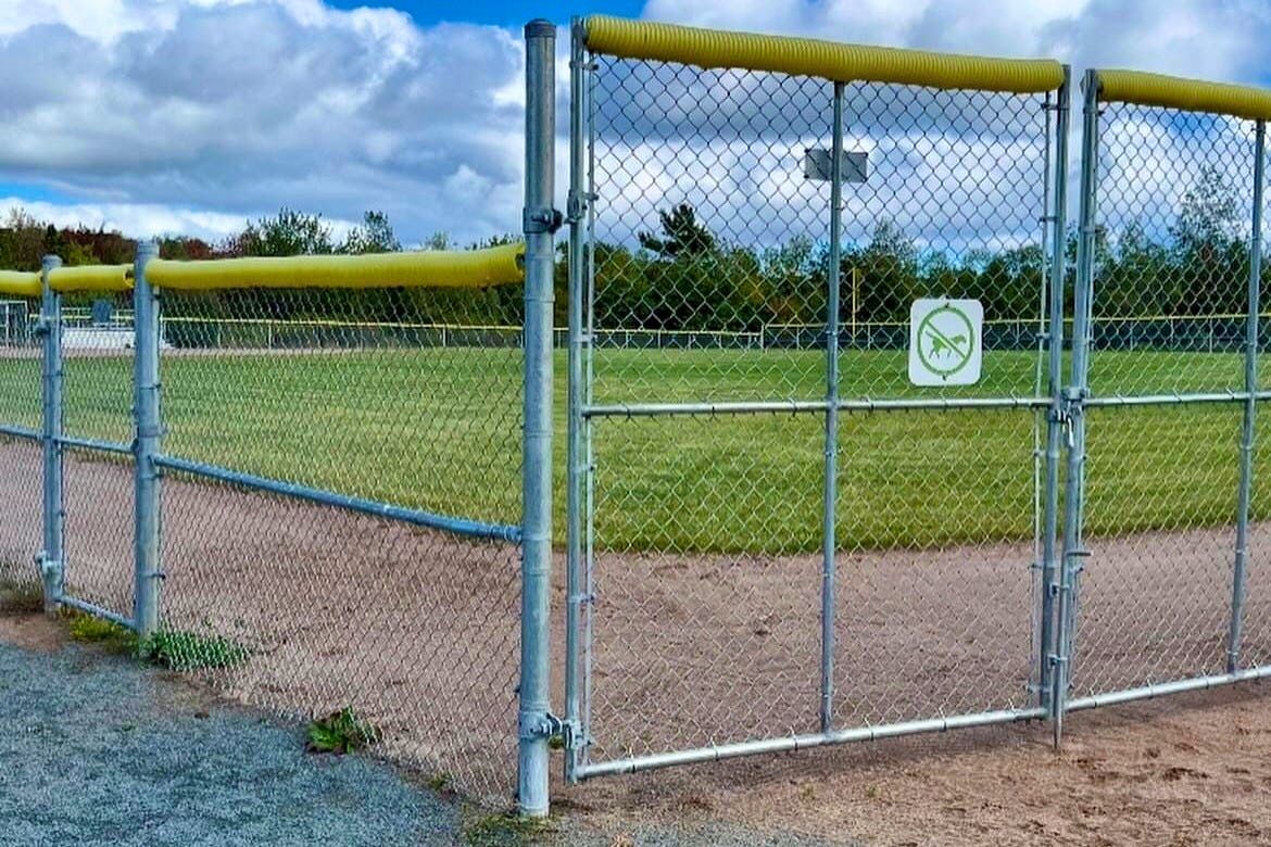 Softball player shattered knee after slipping on feces, calls for dog ...