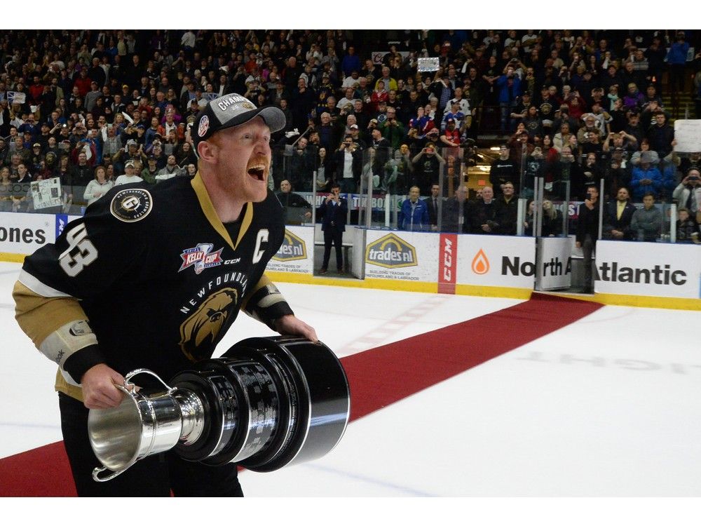 James Melindy could make hockey return as rights are dealt to CeeBees ...