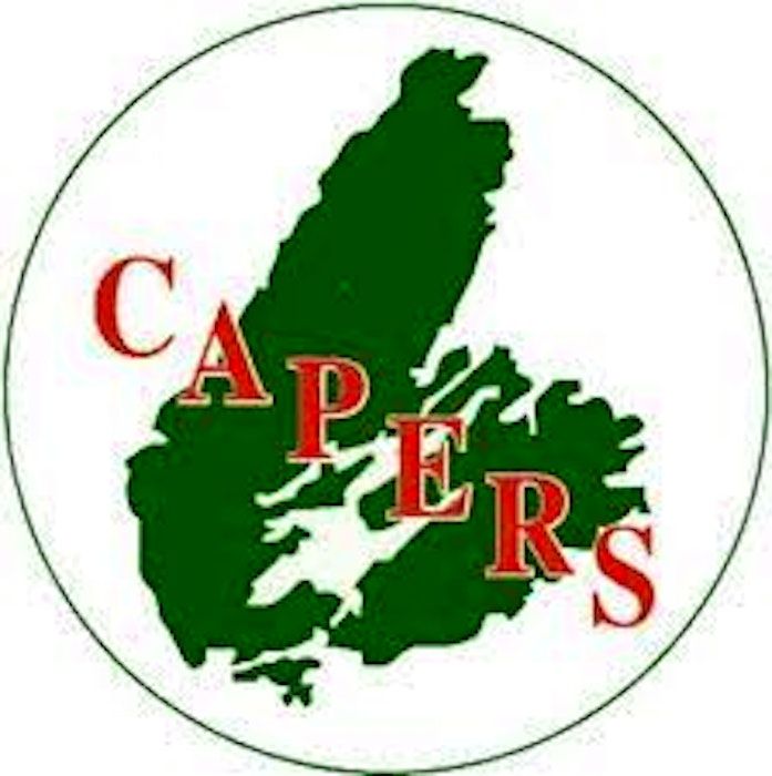 Cape Breton Capers men's hockey program remembered 25 years after ...