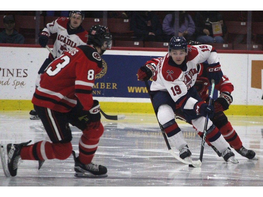 Acadia Axemen eager to climb AUS hockey standings in second half | PNI ...