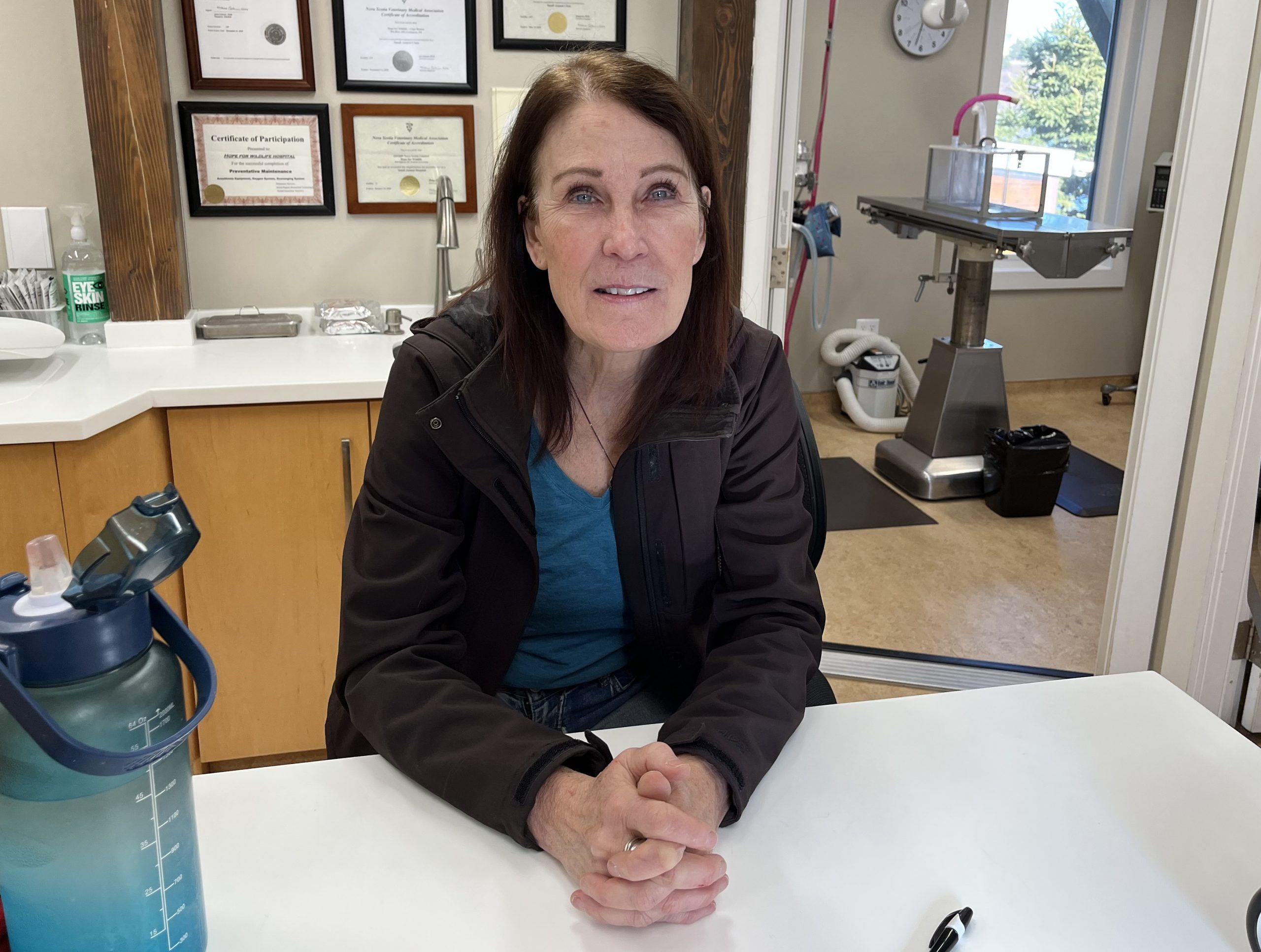 Jessie the bobcat a main attraction at Hope for Wildlife | PNI Atlantic ...