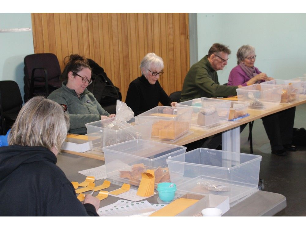 Cape Breton Regional Library to mark 75th anniversary in 2025 | PNI ...