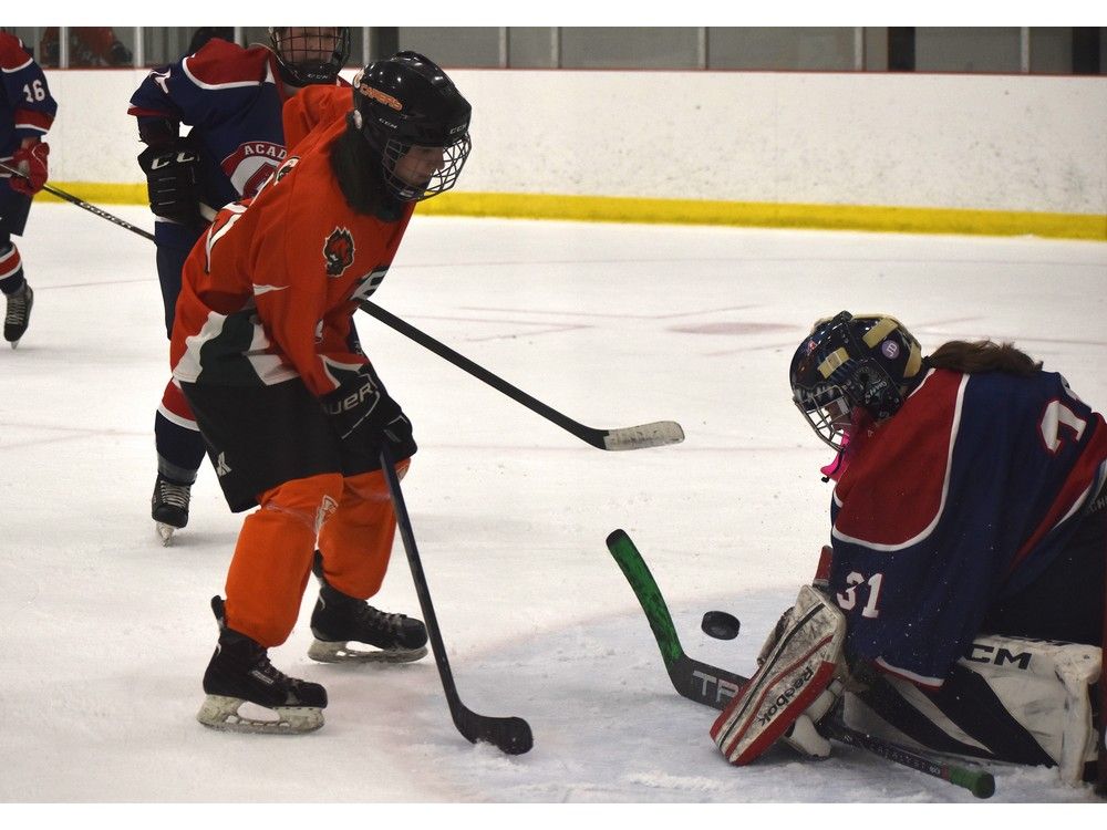 ACHA CHAMPIONSHIP: Host Cape Breton Capers edged by Acadia Axewomen ...