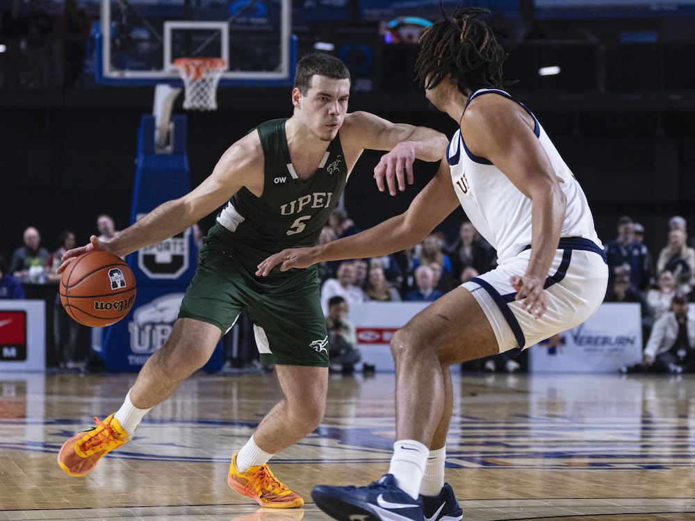 UPEI Panthers reach semifinals at U Sports men’s basketball | PNI ...