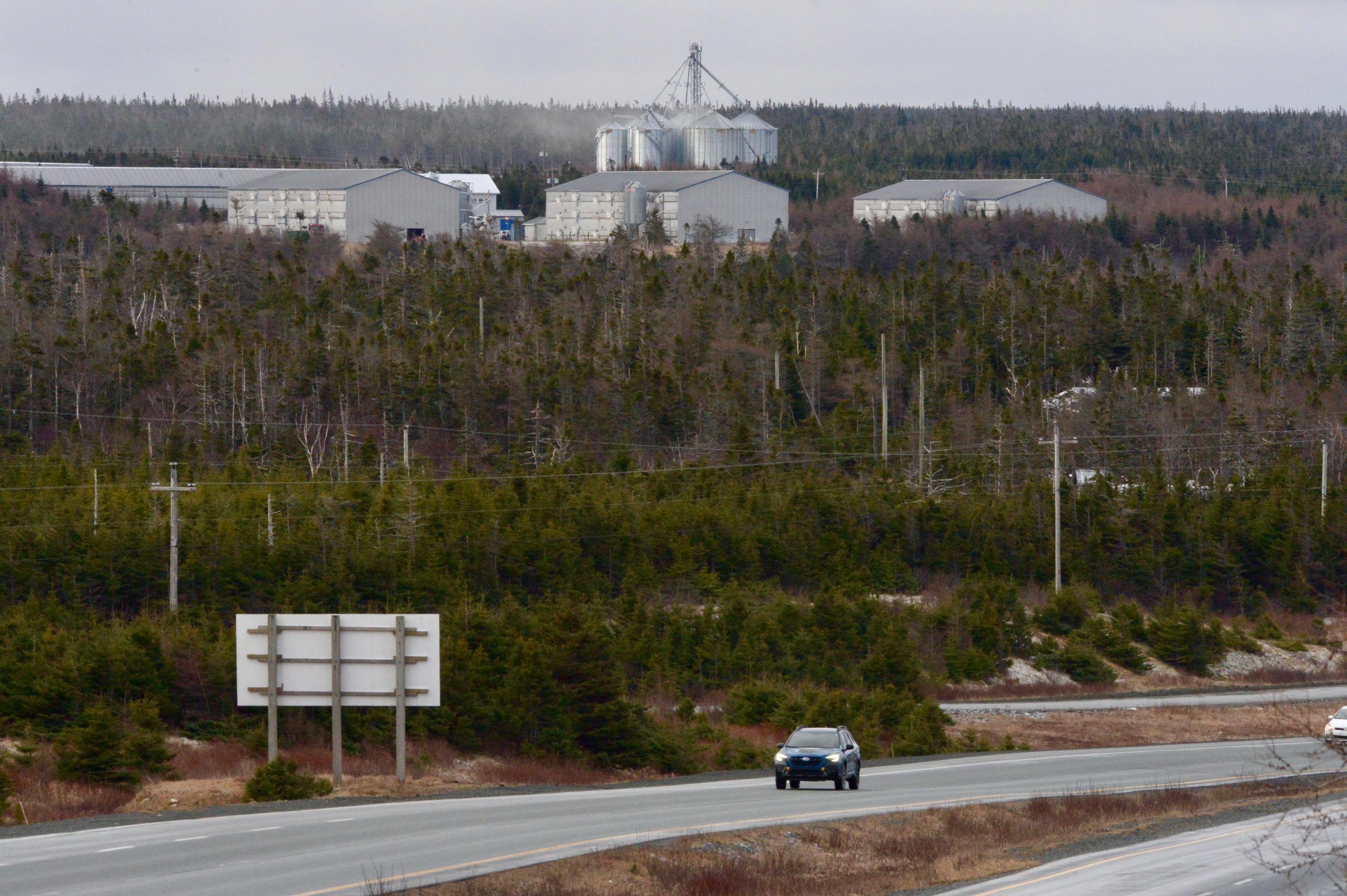Silo smoke spotted at St. John's chicken farm | PNI Atlantic News