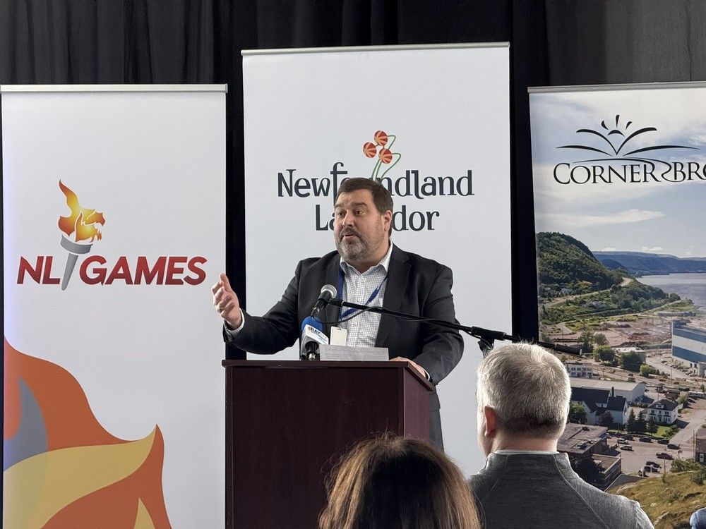 Why these ridings are the ones to watch in the NL provincial election ...