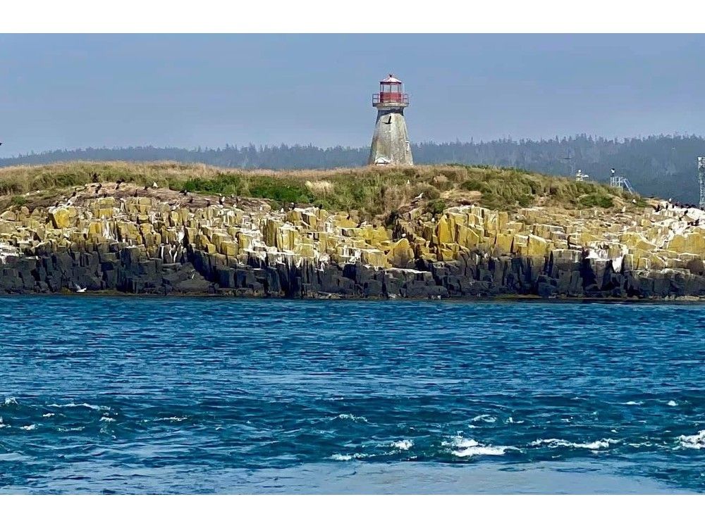Volunteers needed for lighthouse restoration project on Digby Neck ...