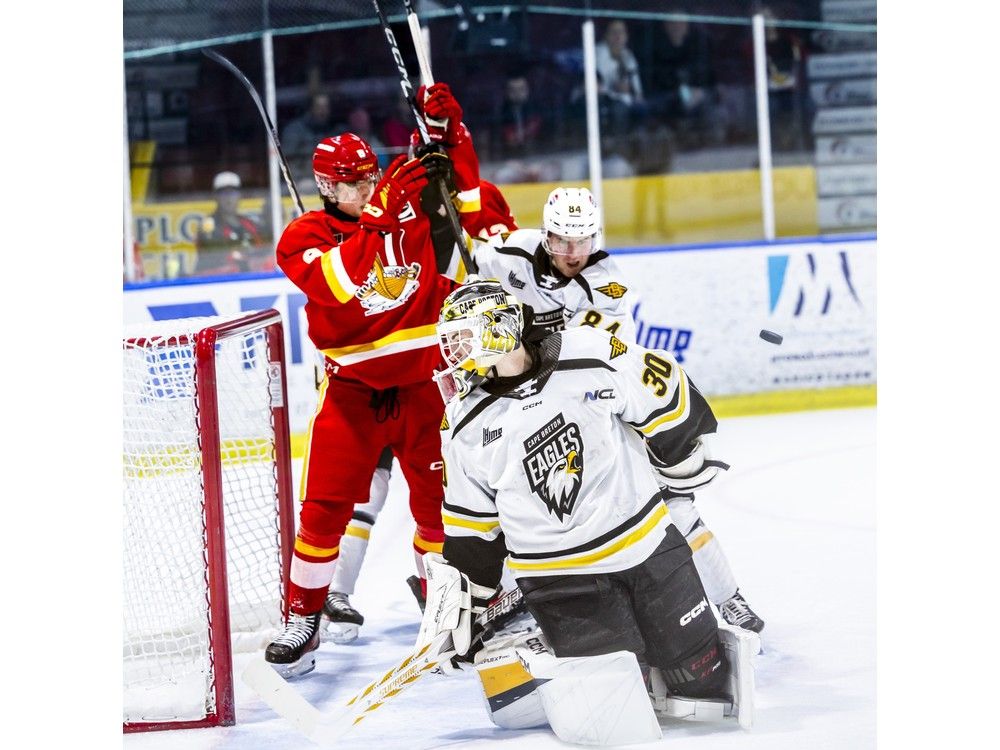 Tough second period costs Cape Breton Eagles as team heads home | PNI ...
