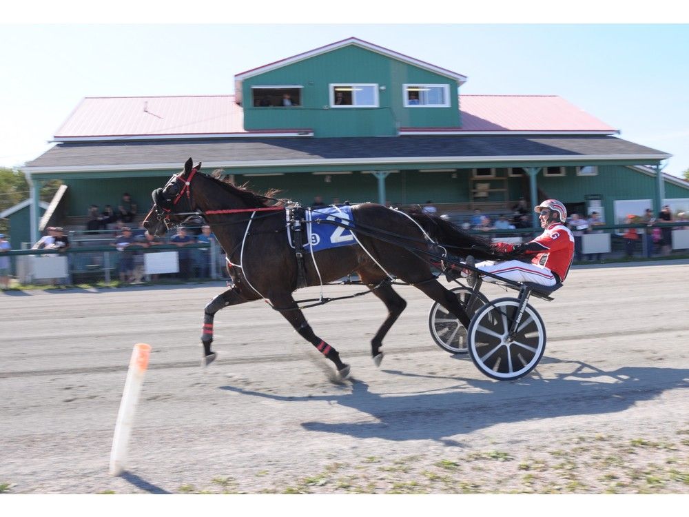 Hugh Heff named horse of the year at Northside Downs for 2024 | PNI ...