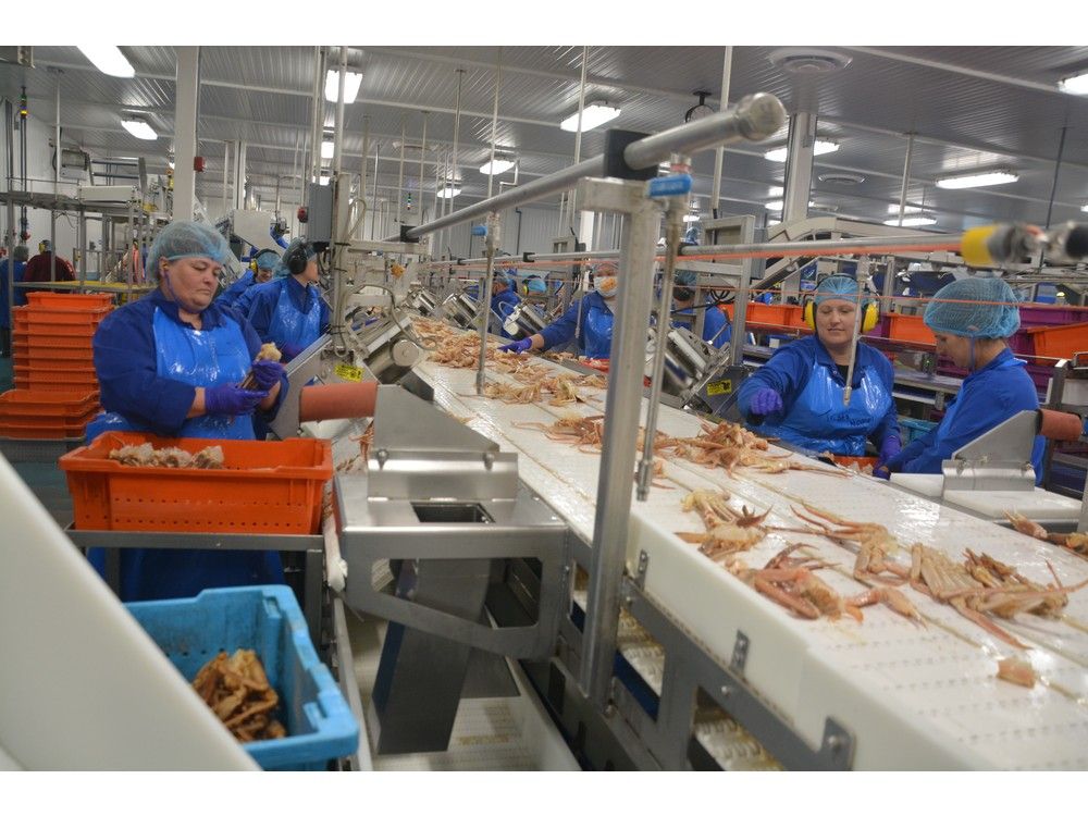 ASP says union’s allegations of undercutting NL crab prices unfounded ...
