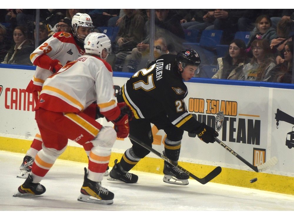 Inconsistency haunts Eagles with Game 4 shutout loss to Drakkar | PNI ...