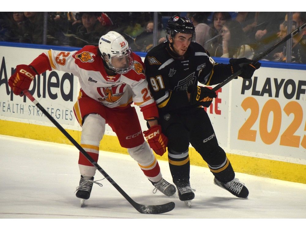 Eagles beat Drakkar in second-longest playoff game in QMJHL history ...