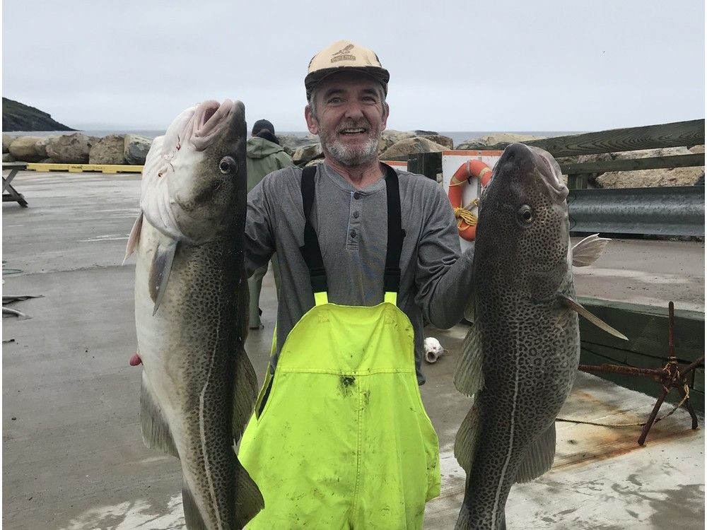 NL recreational fishery advocate had hoped for in-person consultations ...