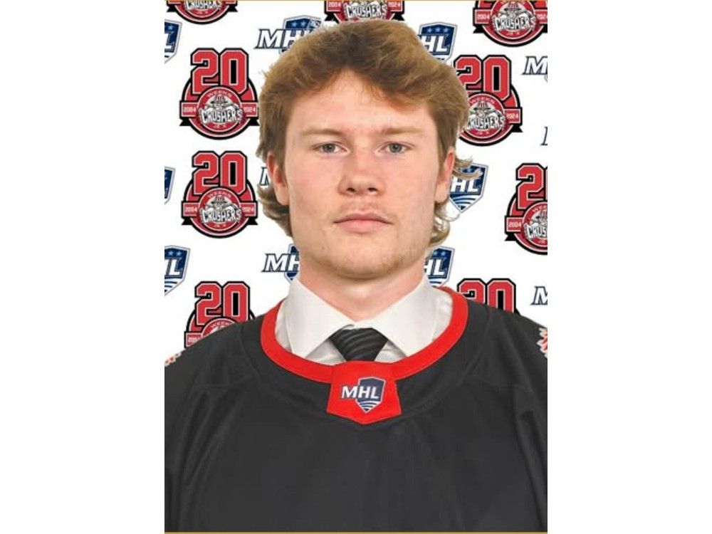 Cape Breton's Logan O’Neil named MHL character player of the year | PNI ...
