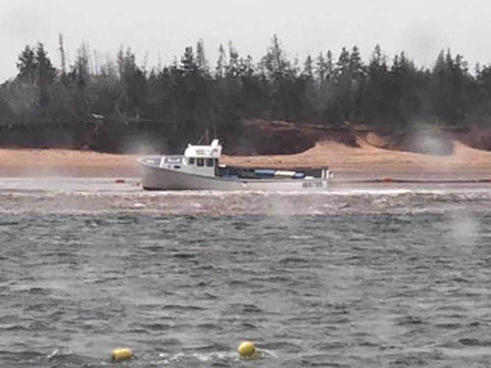 Lobster fishermen in PEI face low prices early in 2025 | PNI Atlantic News
