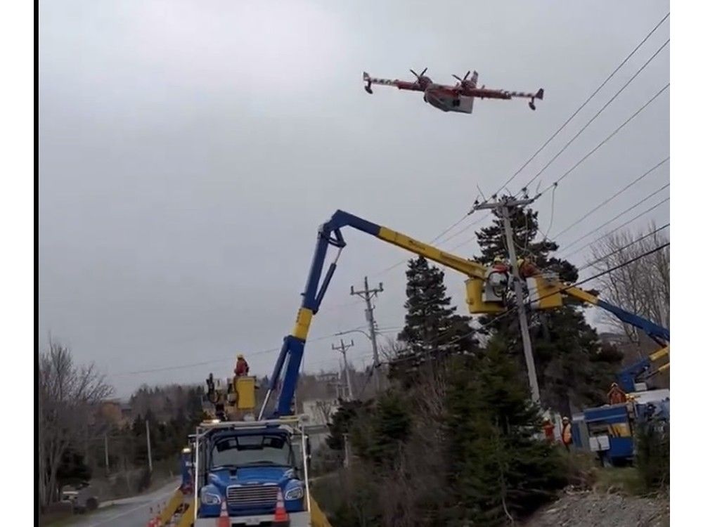 Adam's Cove and surrounding areas lift emergency order after wildfire ...